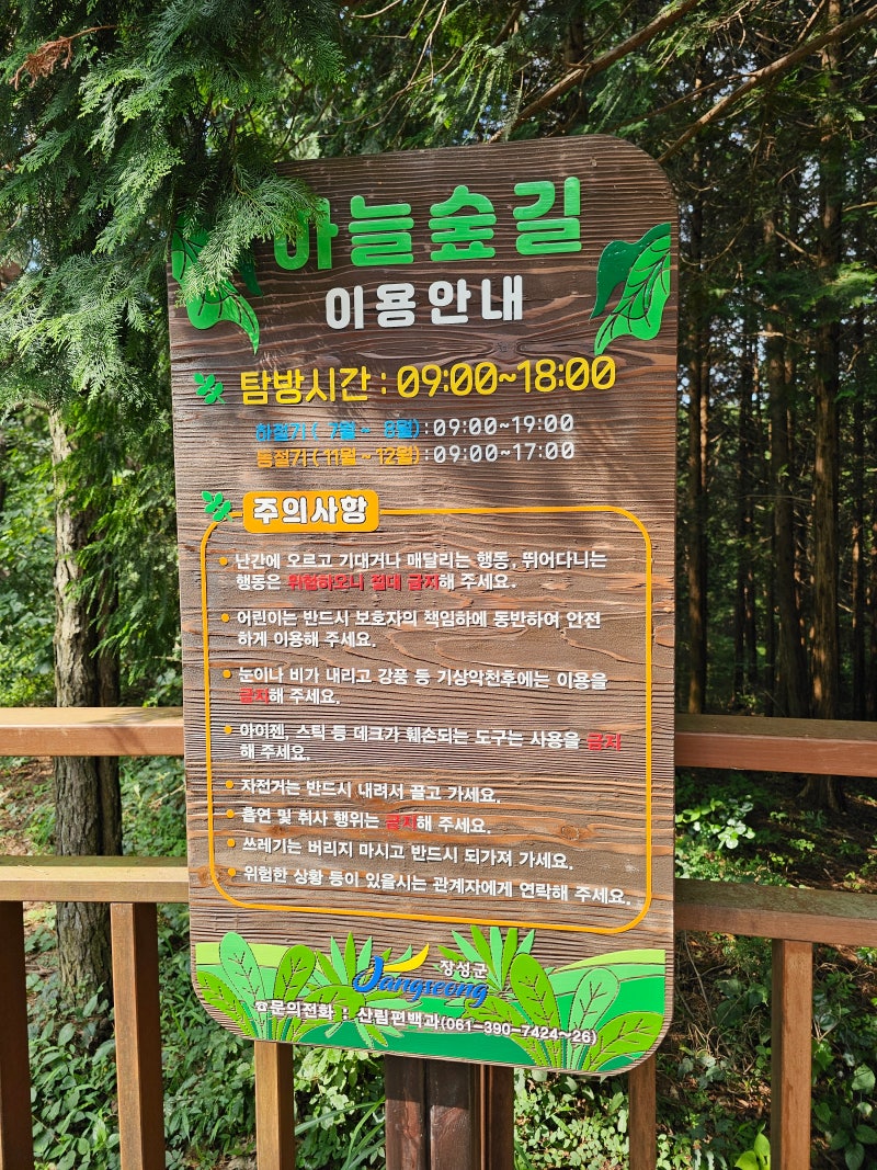 장성 축령산 자연휴양림 편백나무 숲길 걷기 네이버 블로그