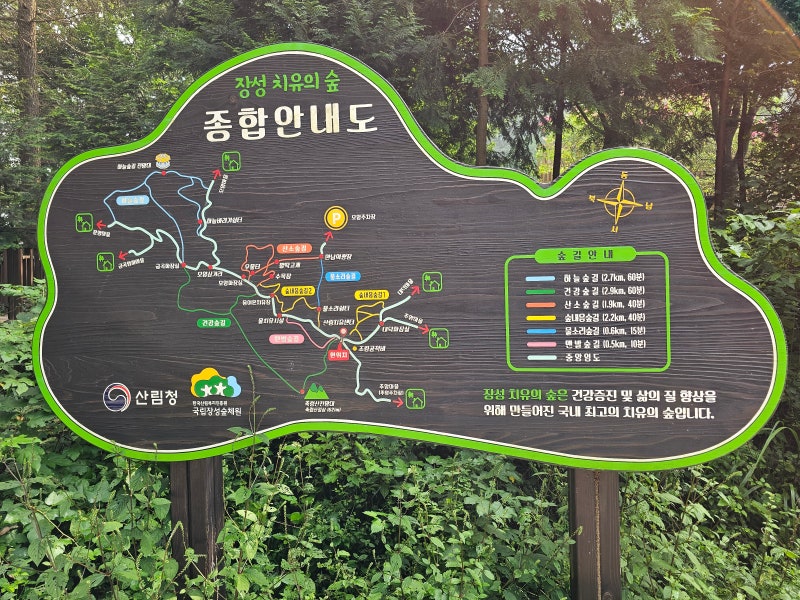 장성 축령산 자연휴양림 편백나무 숲길 걷기 네이버 블로그