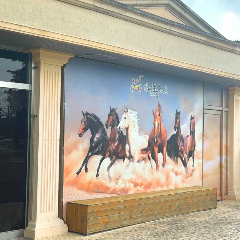 제주 더마파크 공연 솔직 후기 네이버 블로그