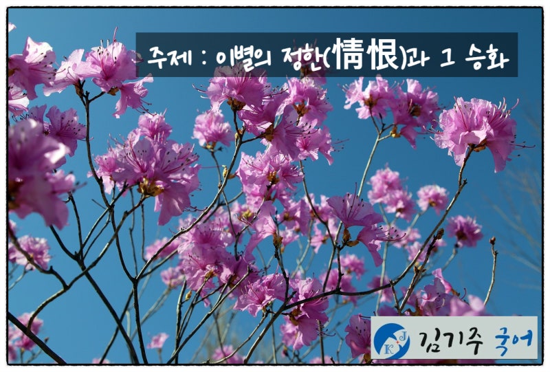 김소월 진달래꽃 주제 특징 해설 해석 상징적의미 분석 정리 네이버 블로그