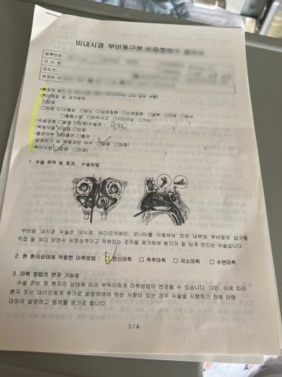 부비동염수술 후기 3박 4일 입원 증상 고통정도 비용 팁 한달 후기 등등 네이버 블로그