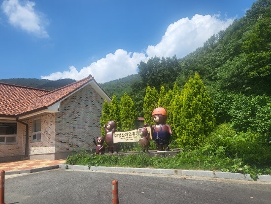 보성 제암산 자연휴양림 제암휴양관 깔끔하고 저렴한 가성비 좋은 숙박 후기 예약부터 물놀이 데크 내부 집기까지 네이버 블로그