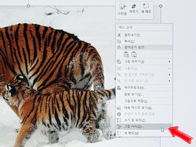 Ppt 사진 투명도 조절 방법 정리 네이버 블로그