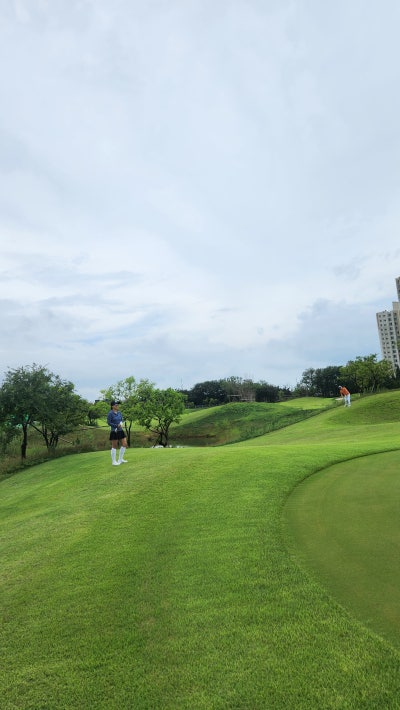 군산 파인파크 군산파3 골프장 오픈일정 이용요금 예약 방법 등 총 정리 네이버 블로그