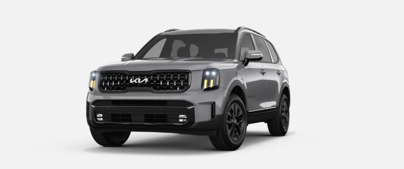 이번에는 국내 출시가 될까? 2025 기아 텔루라이드 풀체인지 하이브리드 LQ2의 출시일, 파워트레인 등 전망 : 네이버 블로그