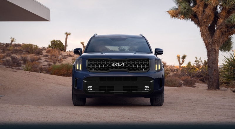 이번에는 국내 출시가 될까? 2025 기아 텔루라이드 풀체인지 하이브리드 LQ2의 출시일, 파워트레인 등 전망 : 네이버 블로그