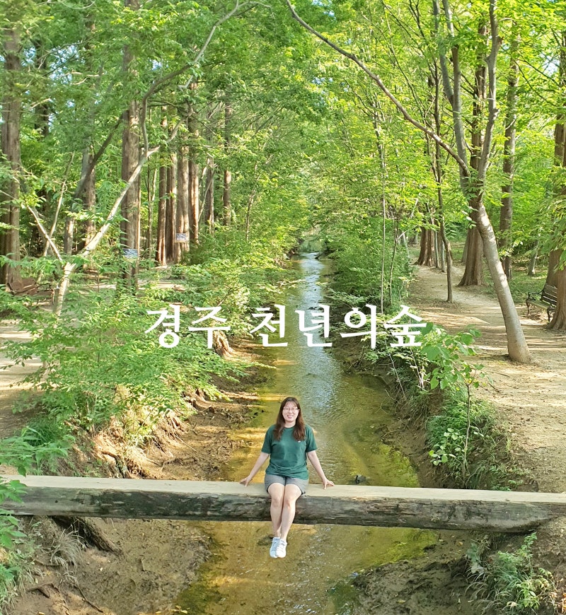9월 경주 가볼만한곳 경주 천년의숲 천년숲정원 수목원 경북 산림환경연구원 네이버 블로그