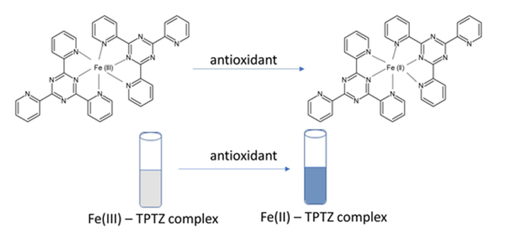 항산화 실험: DPPH와 FRAP Assay로 알아보는 활성산소 제거와 환원력 측정 (예비 보고서) : 네이버 블로그
