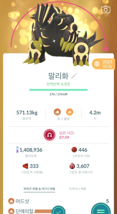 포켓몬고 염버니 진화 에이스번 졸업스킬 이로치 약점 정리 네이버 블로그