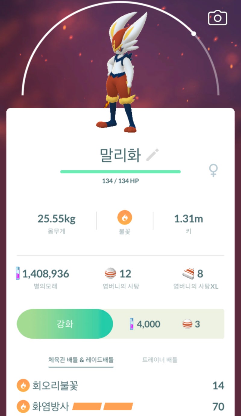 포켓몬고 염버니 진화 에이스번 졸업스킬 이로치 약점 정리 네이버 블로그