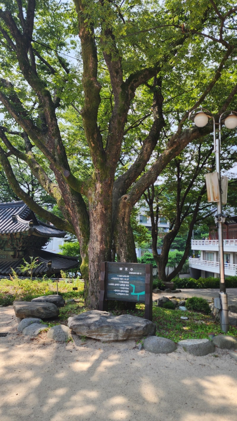 성북구 길상사 여행 가볼 만한 곳 대중교통 이용해서 가는 방법 추천 네이버 블로그