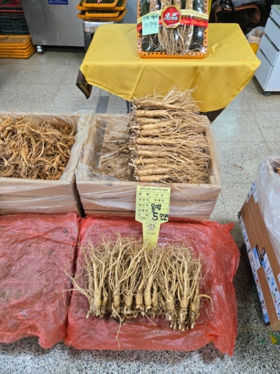 충남 금산수삼센터 금산인삼도매시장 추천위치 가격 포장 세척 네이버 블로그