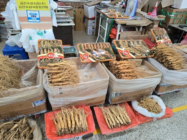 충남 금산수삼센터 금산인삼도매시장 추천위치 가격 포장 세척 네이버 블로그