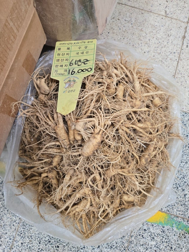 충남 금산수삼센터 금산인삼도매시장 추천위치 가격 포장 세척 네이버 블로그
