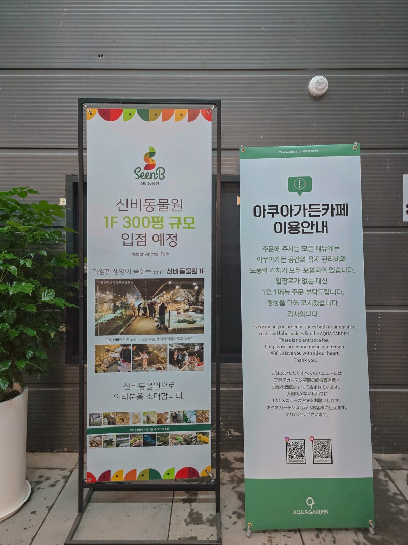 일산 아이와 가볼만한곳 실내 수족관 카페 아쿠아가든 일산점 메뉴 주차 이용팁 네이버 블로그