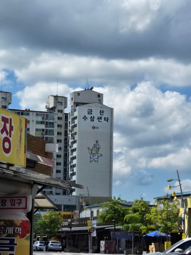 충남 금산수삼센터 금산인삼도매시장 추천위치 가격 포장 세척 네이버 블로그