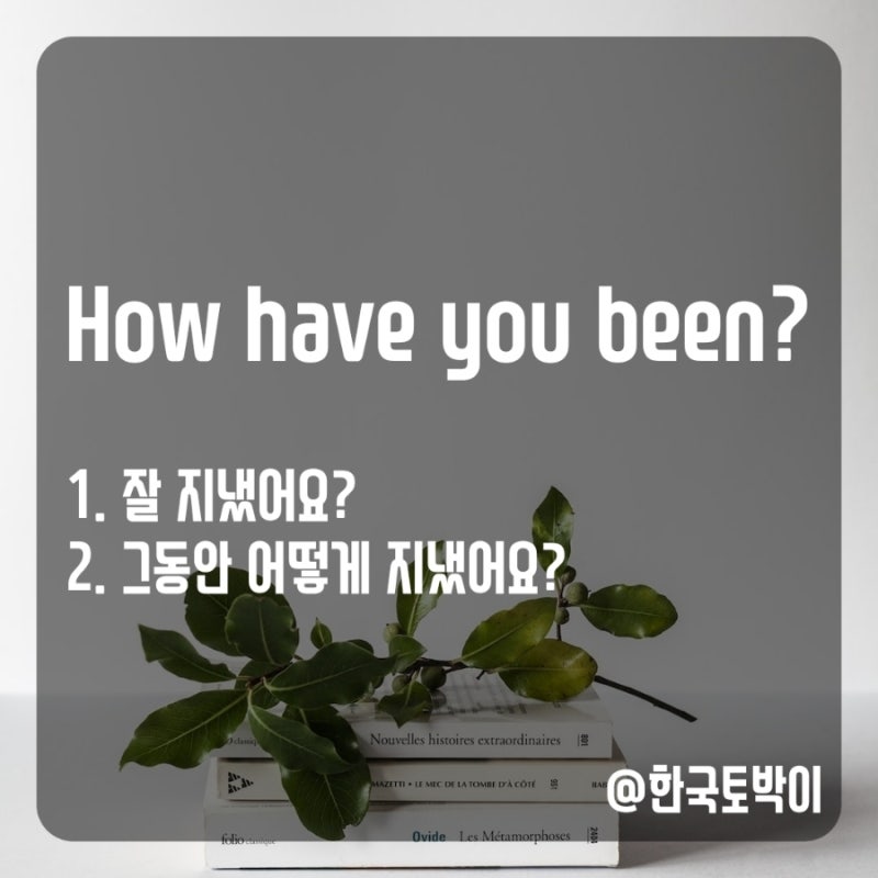 잘 지냈어? 영어로 (how are you?와 How have you been? 뜻 차이) : 네이버 블로그