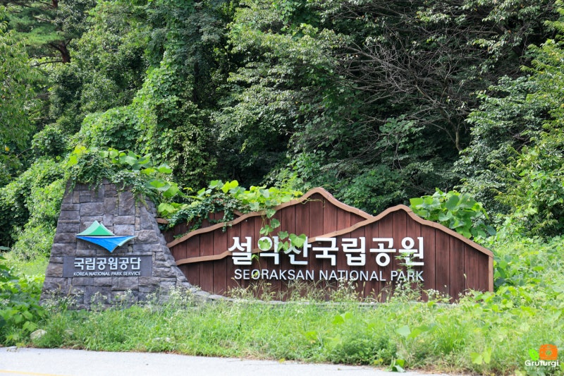 속초 설악산 국립공원 설악향기로 출렁다리 스카이워크 가족여행 네이버 블로그