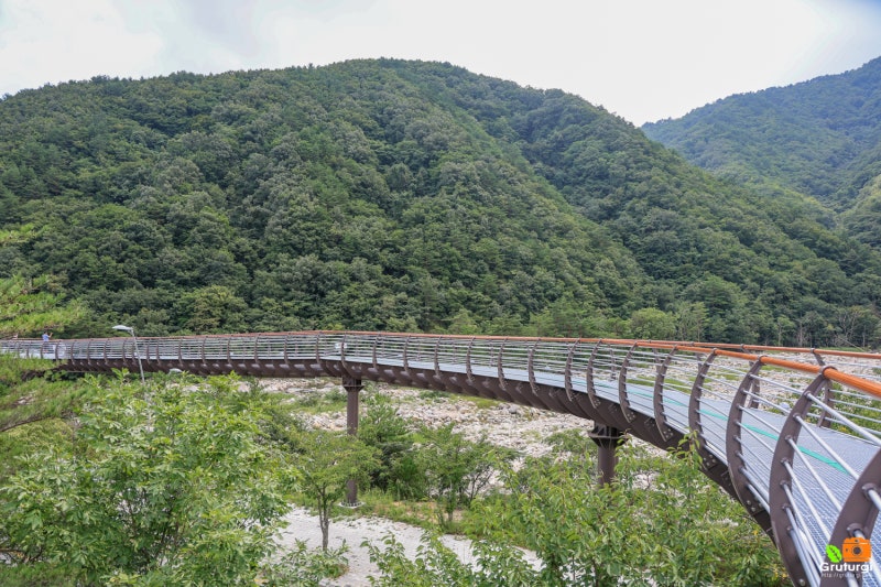 속초 설악산 국립공원 설악향기로 출렁다리 스카이워크 가족여행 네이버 블로그