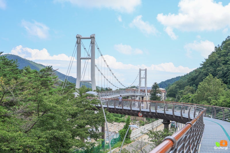 속초 설악산 국립공원 설악향기로 출렁다리 스카이워크 가족여행 네이버 블로그