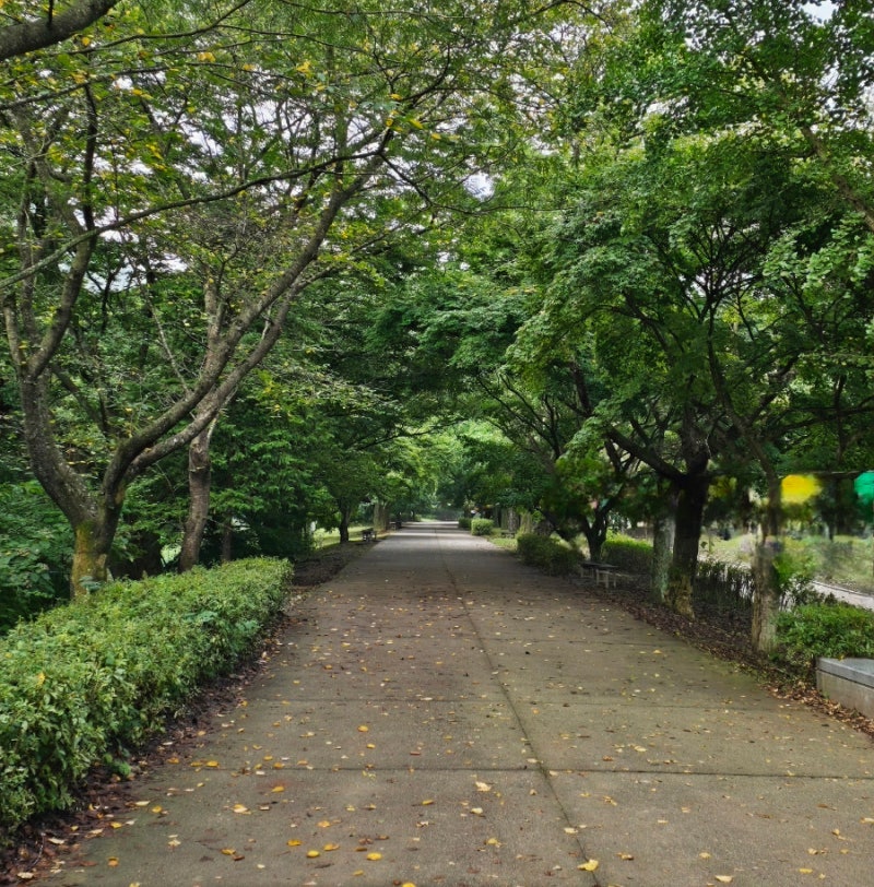 고창 가볼 만한 곳 선운산도립공원 도솔계곡 트레킹 네이버 블로그