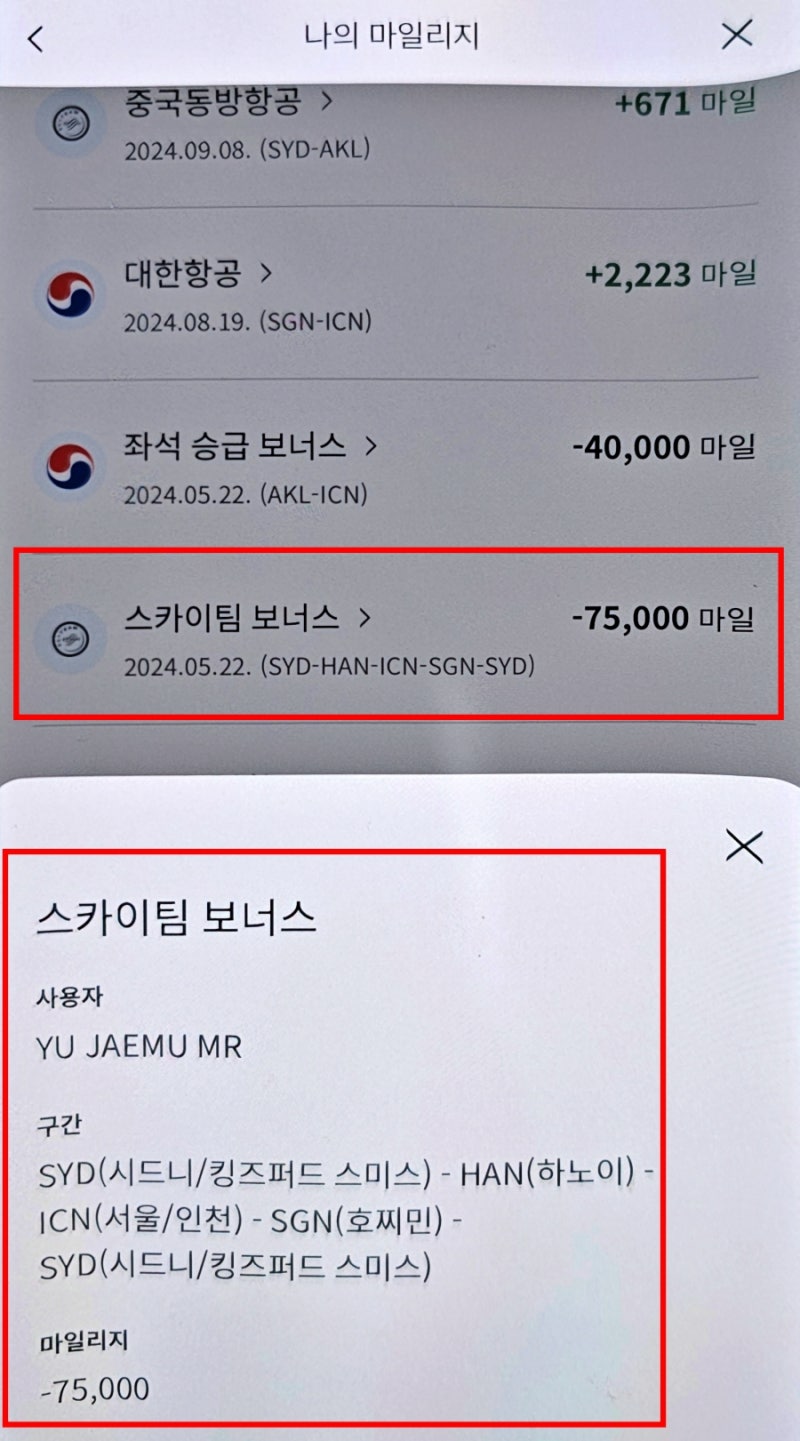 베트남항공 비지니스 후기 대한항공 마일리지 스카이팀 보너스 발권 Vn786 시드니에서 하노이 기내식 시드니공항 스카이팀