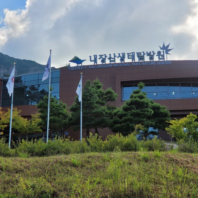 정읍 숙소 추천 내장산 생태탐방원 4인실 이용후기 객실 구비용품 주차 생태체험 편의시설 등 네이버 블로그