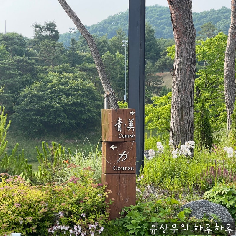 충주 대영힐스cc 미 코스 청 코스 리뷰 그리고 서울 외곽 주차장 네이버 블로그