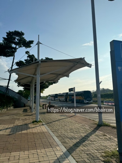 페덱스fedex 주말공휴일 서류 픽업 고객센터 전화번호 대중교통 이용 네이버 블로그