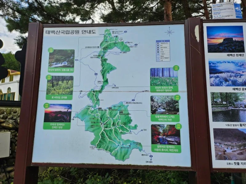태백산국립공원 태백산 민박촌 숙박 후기 방타입가격 취사 민박촌 맛집 추천 네이버 블로그