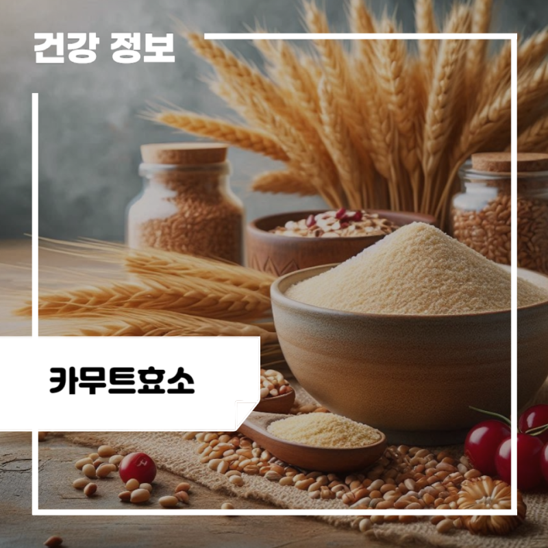카무트효소 복용 효능 5가지 먹는법 부작용 카무트효소 고르는법 네이버 블로그