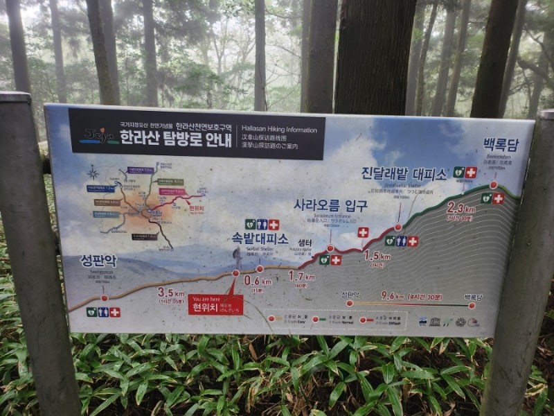 구름관측자의 쉼을 위한 소소한일상 네이버 블로그