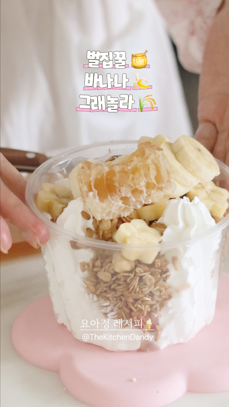 집에서 요아정 만들기 기가 막히는 쉬운 방법 꿀조합 요거트 아이스크림의 정석 네이버 블로그