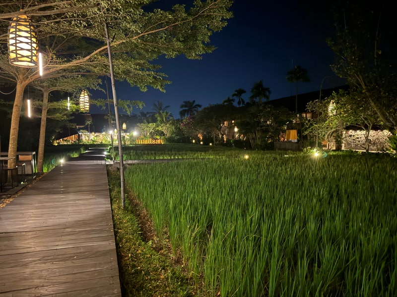 발리 우붓에서 제일 핫플 식당 피손우붓 Pison Ubud : 네이버 블로그