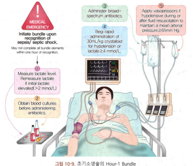 패혈증(sepsis), 패혈성쇼크(septic shock)의 정의, 진단 및 치료 : 네이버 블로그