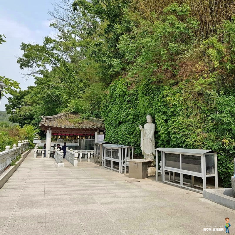 경북 영천 가볼만한곳 보현산 천문대 출렁다리 영천 돌할매 공원 만불사 네이버 블로그