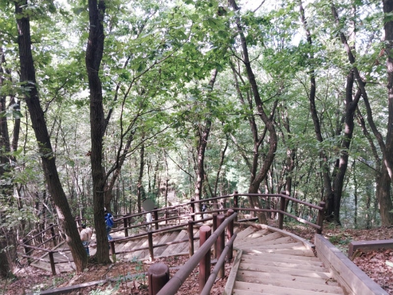 초보 가을등산 추천 우면산 등산코스부터 전망대 무장애숲길까지 네이버 블로그