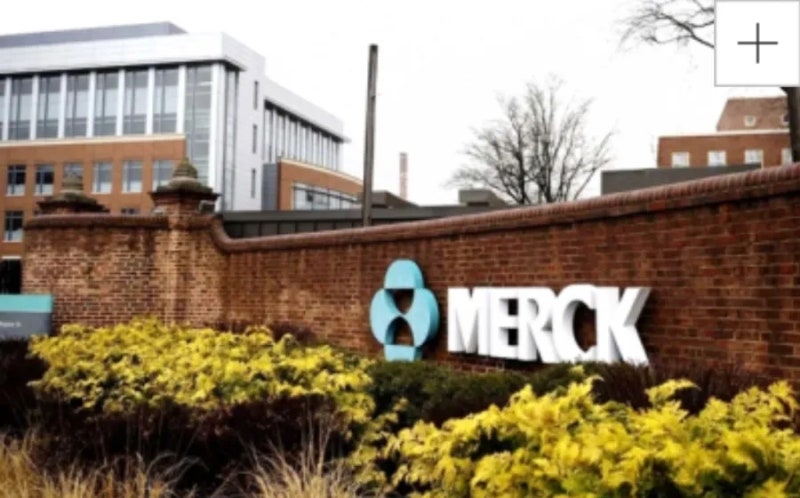 Merck, KEYTRUDA®(pembrolizumab) 요법에 대한 EU CHMP의 긍정적인 의견 받아-자궁경부암,자궁내막암 ...