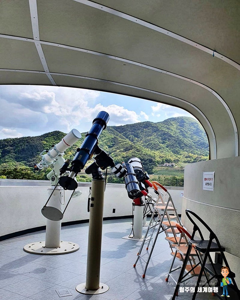 경북 영천 가볼만한곳 보현산 천문대 출렁다리 영천 돌할매 공원 만불사 네이버 블로그