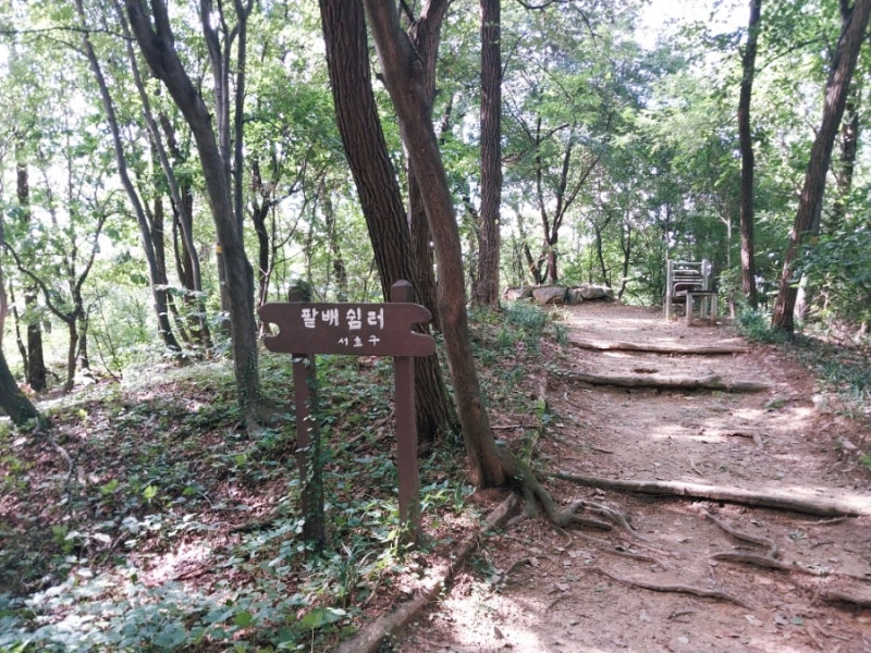 초보 가을등산 추천 우면산 등산코스부터 전망대 무장애숲길까지 네이버 블로그
