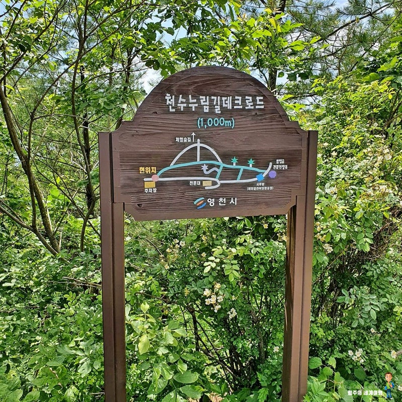 경북 영천 가볼만한곳 보현산 천문대 출렁다리 영천 돌할매 공원 만불사 네이버 블로그