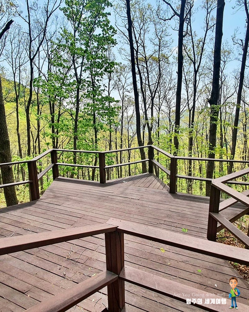 경북 영천 가볼만한곳 보현산 천문대 출렁다리 영천 돌할매 공원 만불사 네이버 블로그