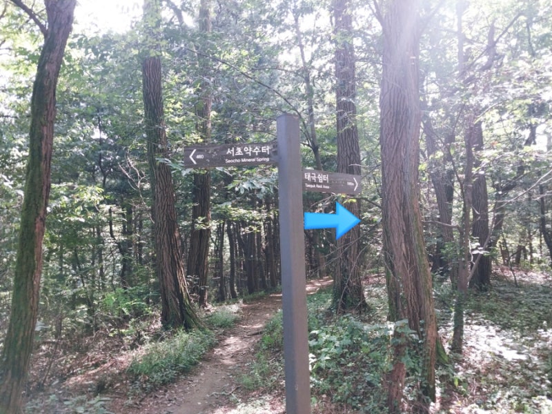 초보 가을등산 추천 우면산 등산코스부터 전망대 무장애숲길까지 네이버 블로그