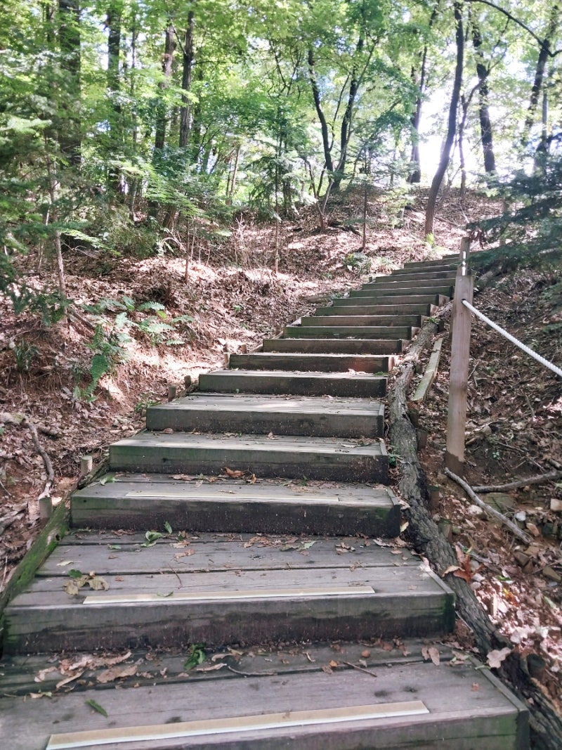 초보 가을등산 추천 우면산 등산코스부터 전망대 무장애숲길까지 네이버 블로그
