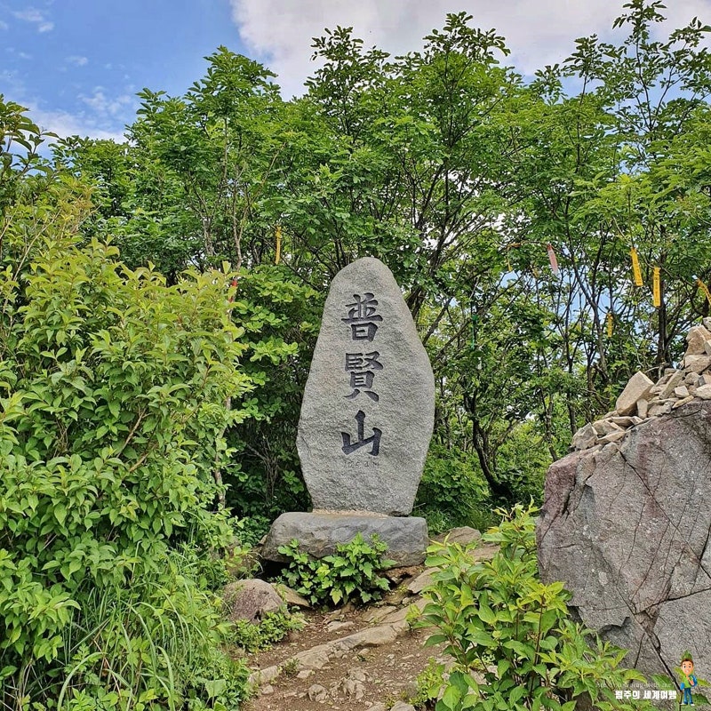 경북 영천 가볼만한곳 보현산 천문대 출렁다리 영천 돌할매 공원 만불사 네이버 블로그