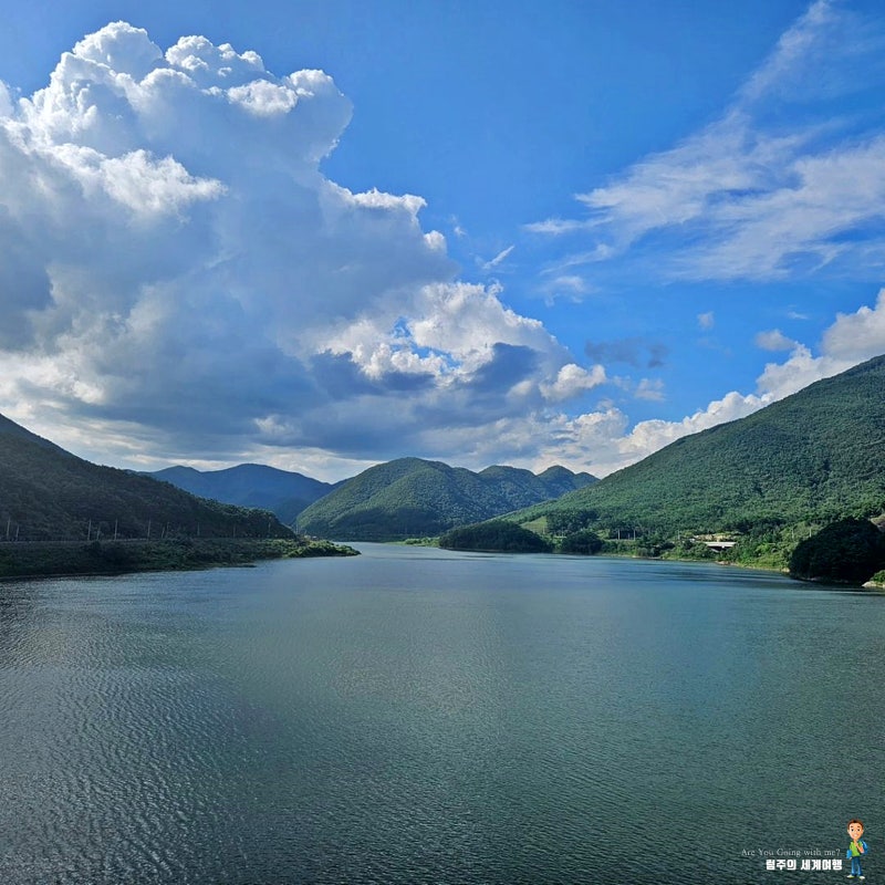 경북 영천 가볼만한곳 보현산 천문대 출렁다리 영천 돌할매 공원 만불사 네이버 블로그