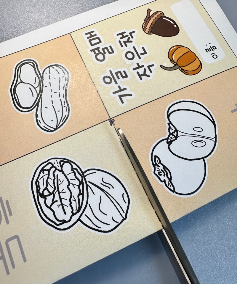 가을 가을 언어영역 가을 열매 작은책 가을 활동지 네이버 블로그