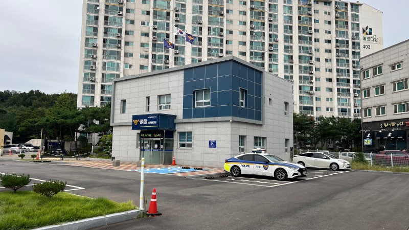 교통사고사실확인서 경찰서 파출소 직접 방문 발급 후기 네이버 블로그