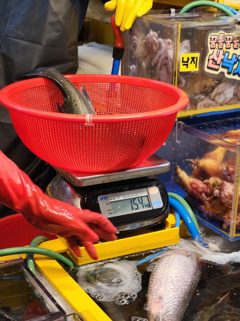 인천 소래포구 전통어시장 대하꽃게 시세 할인 꿀팁 무료 야장 네이버 블로그