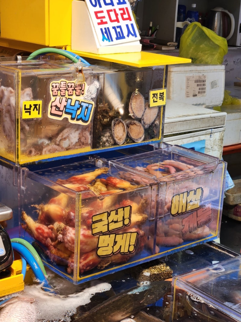 인천 소래포구 전통어시장 대하꽃게 시세 할인 꿀팁 무료 야장 네이버 블로그